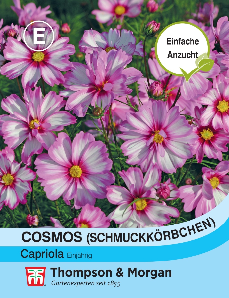 Cosmea Capriola, 3,95
