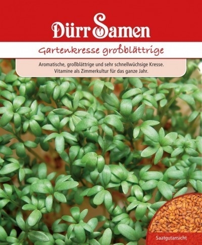 Gartenkresse grossbl.250g, 6,50