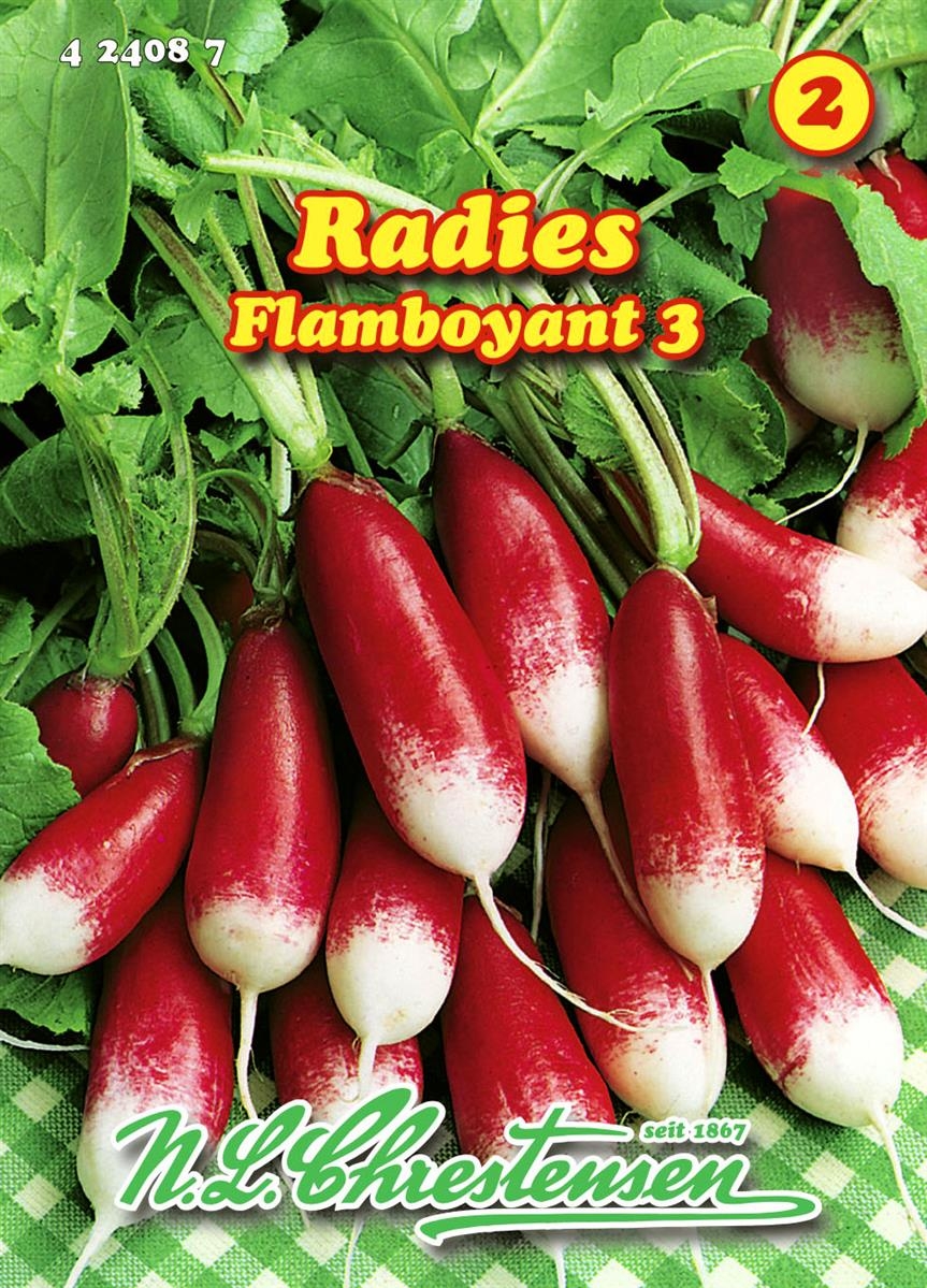 Radies Flamboyant 3, 1,50