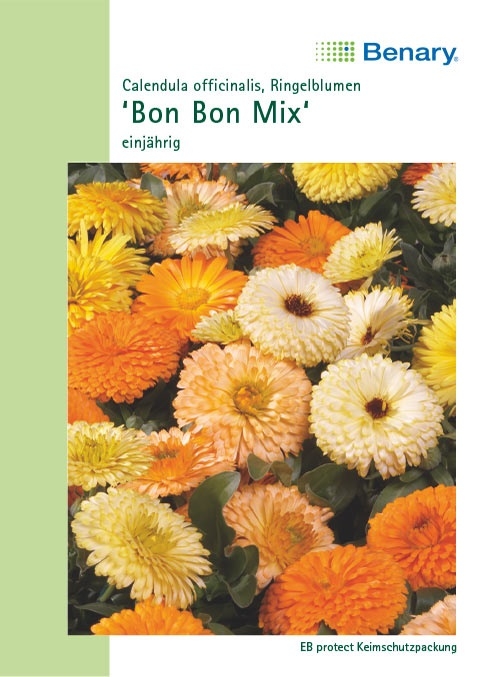 Ringelblume Bon Bon Mix, 3,50