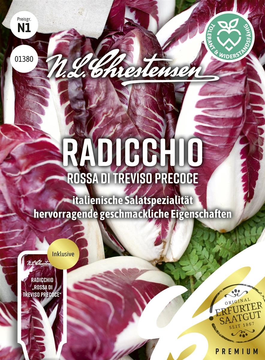 Radicchio Rossa di treviso precoce, 2,50